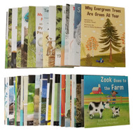 Reading Recovery Set - RR Books