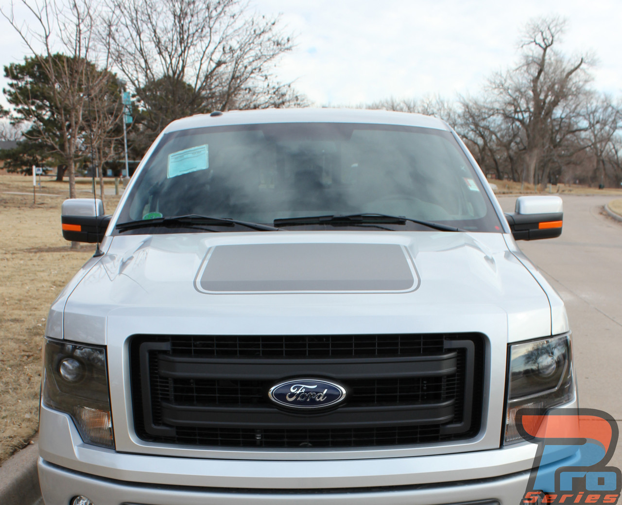 FORCE HOOD SOLID | Ford F150 Stripes | F150 Hood Decals | F150 Vinyl ...