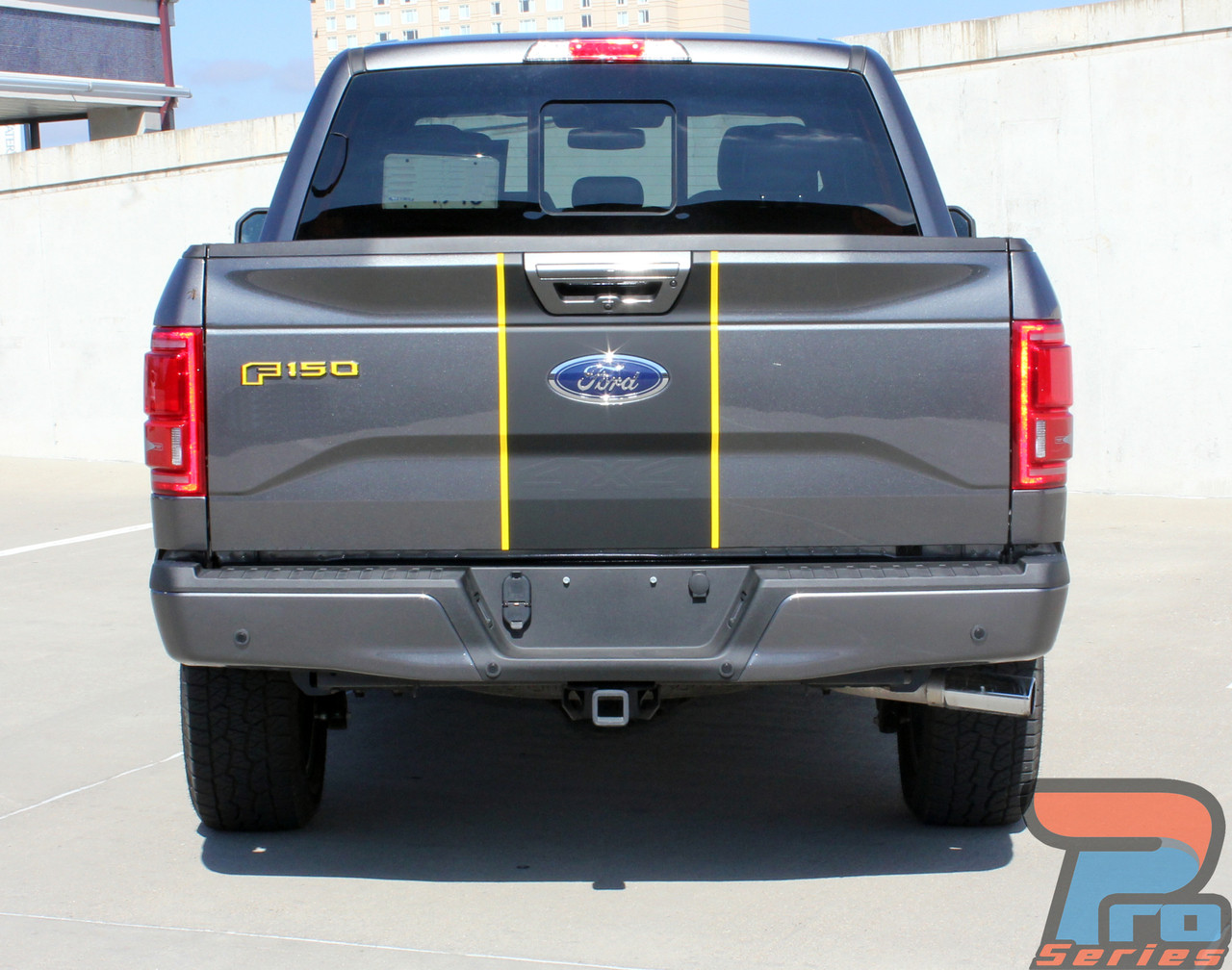 Ford F150 Truck Center Vinyl Wrap BORDERLINE 2015-2018 2019