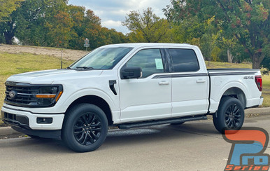 2021 2022 2023 2024 F-150 ENFORCER, Ford F150 FP700 Door Stripes, F150 ...