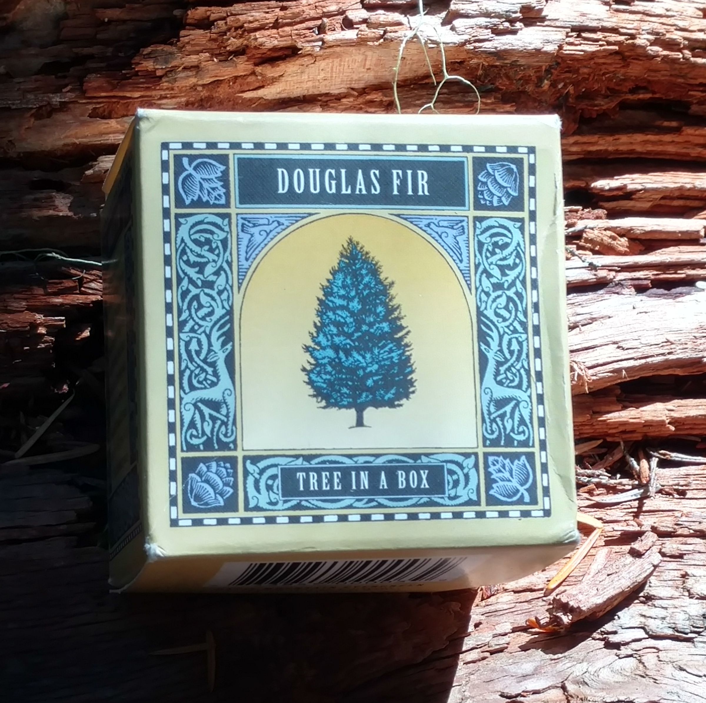 Recompose: A Greener Send Off For Loved Ones - Tree in a Box