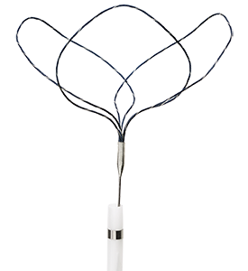 Argon 382006015 Atrieve™ Vascular Snare Length 6F x 100 cm catheter, 9 ...