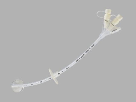 Cook Medical G35620 Balloon Gastrostomy Tube Entuit® 24 Fr. 10 cm ...
