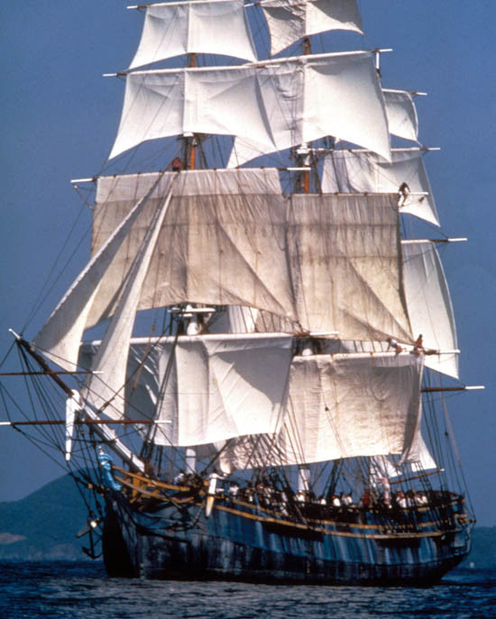 Yellowbeard Poster and Photo 1016889 | Free UK Delivery & Same Day ...