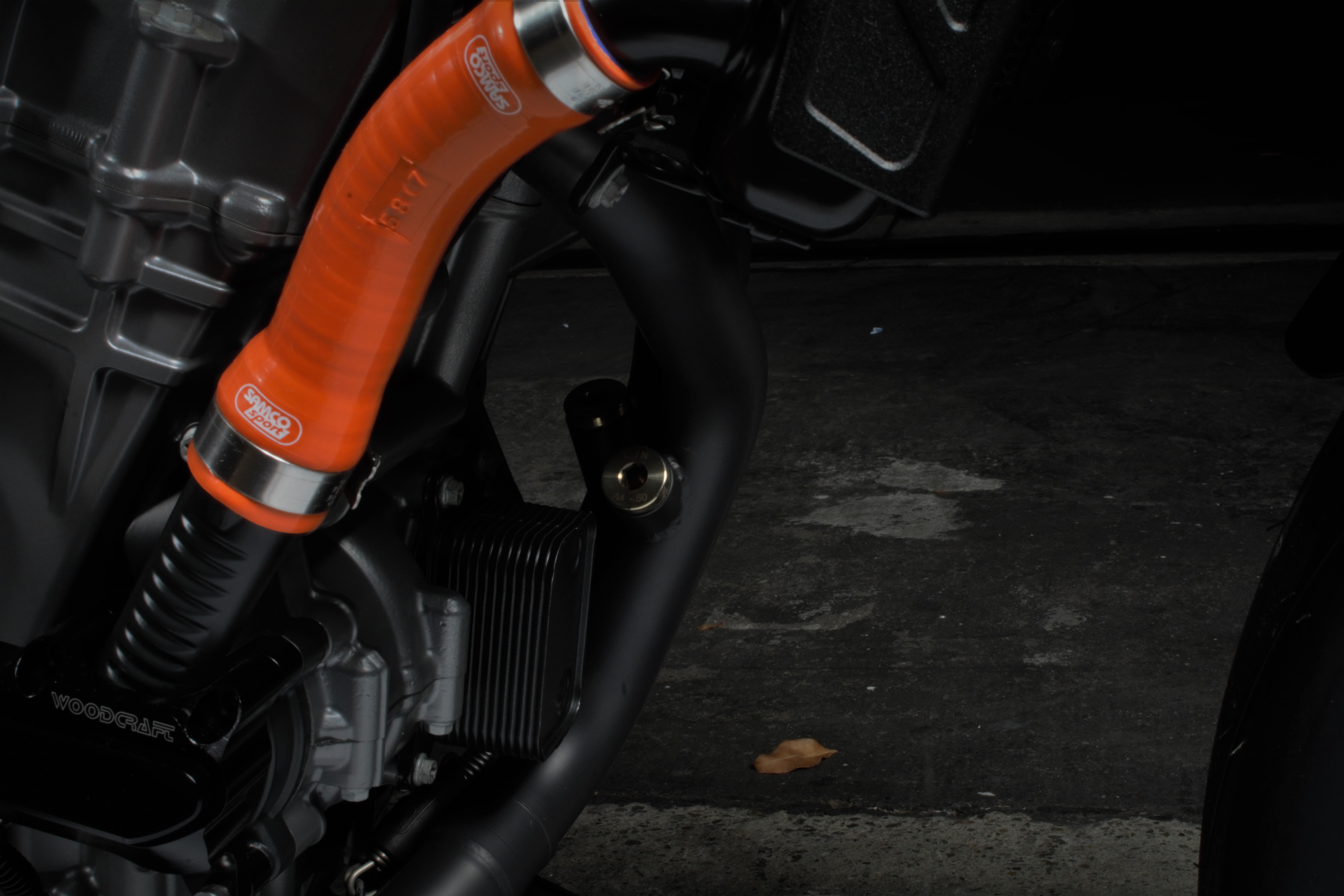 Rottweiler Project 790: Sharpening The Scalpel - rottweilerperformance