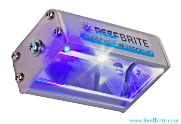 Reef Brite Mini Mag LED (White) - Shark & Reef