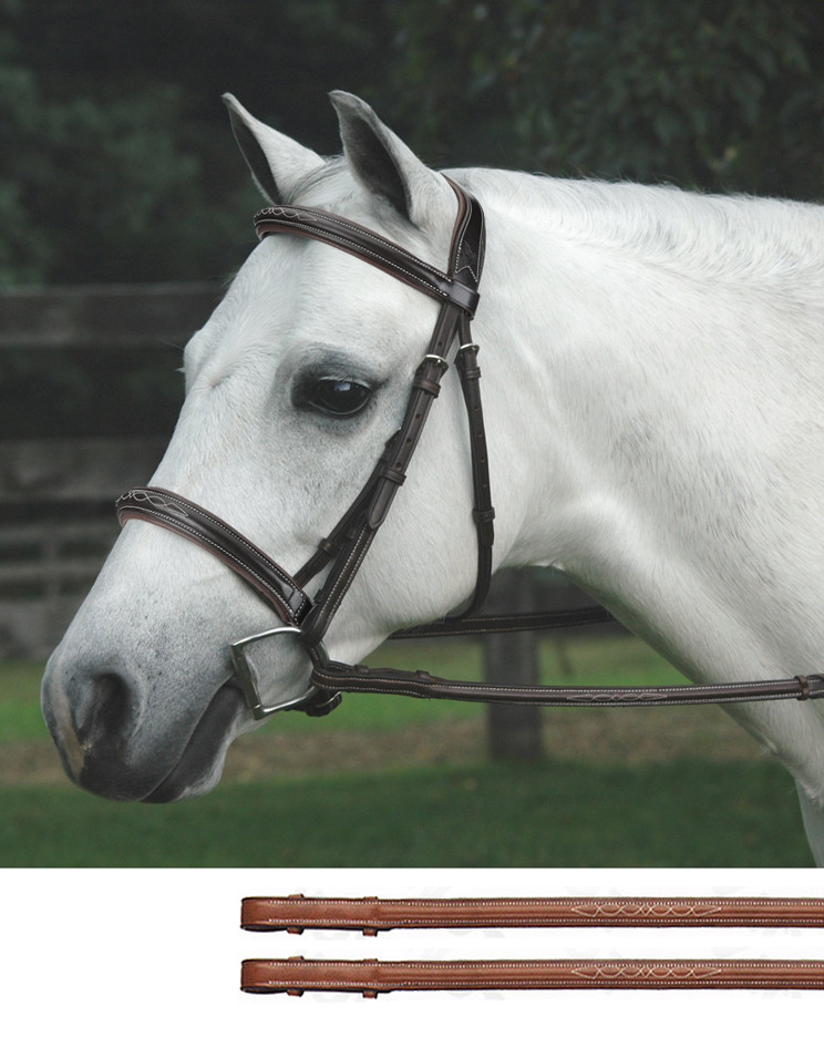 Bobby's Padded CONTOUR Crown Fancy Bridle with Fancy Reins