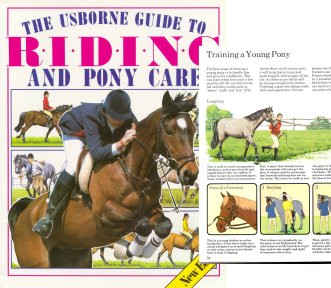 The Usborne Guide to Riding & Pony Care - Just for Ponies