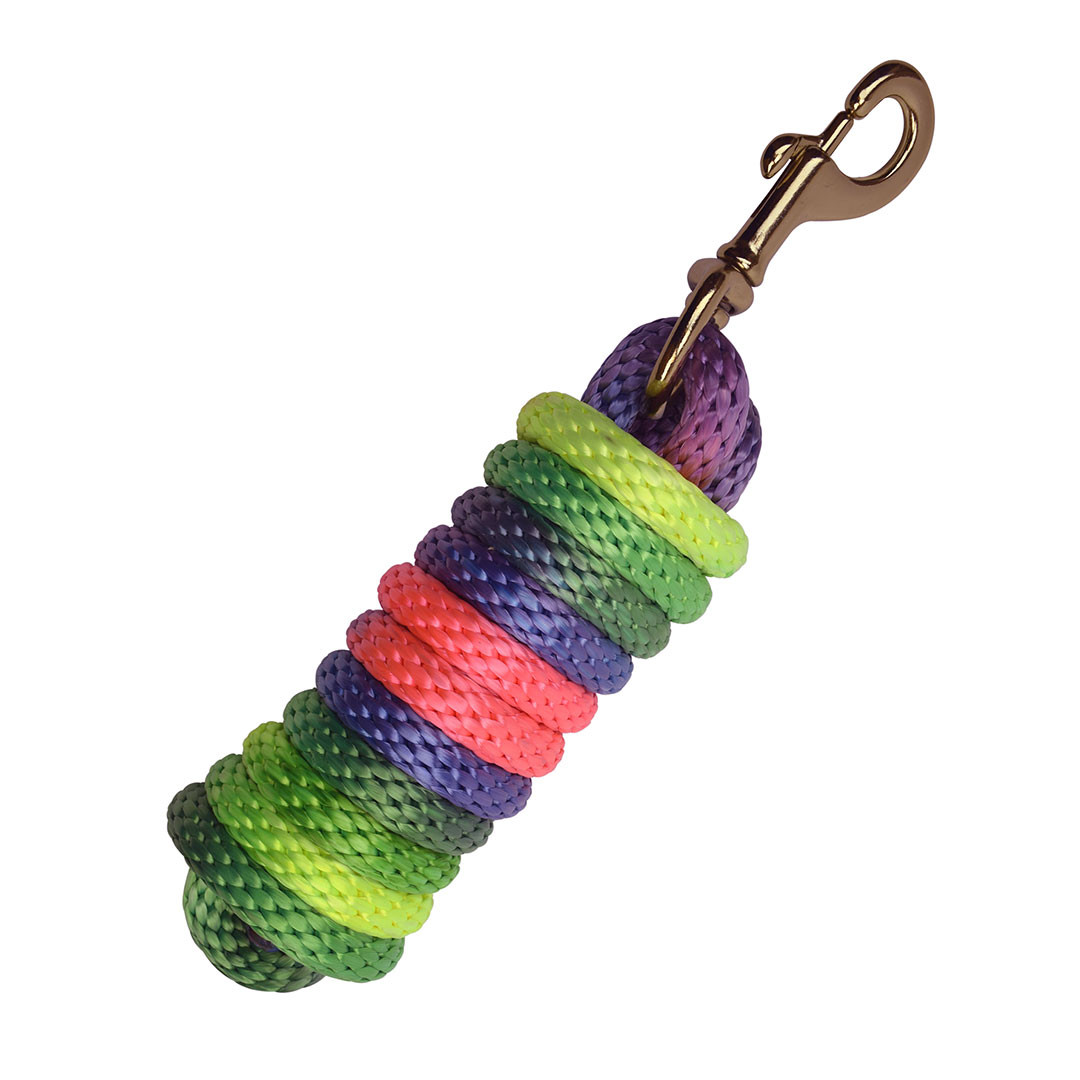 Hamilton Poly Lead Rope with Bolt Snap, Rainbow