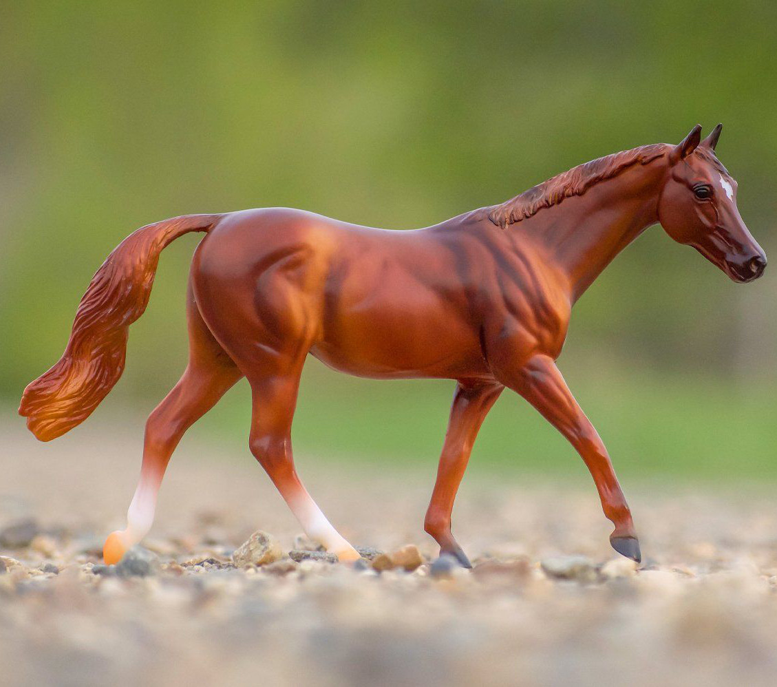 Chestnut Thoroughbred Horses