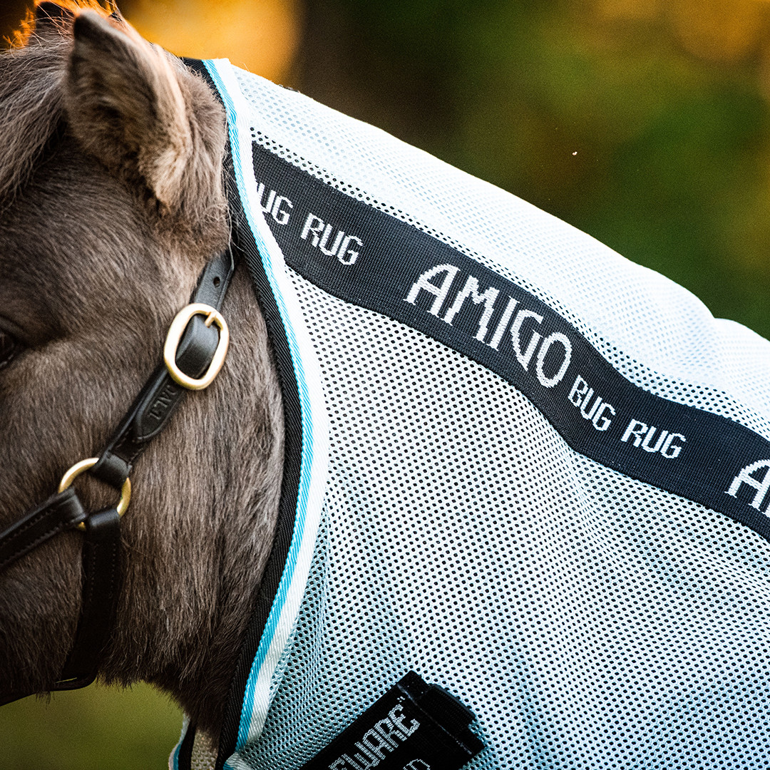 Amigo Petite Bug Rug, Azure Blue/Black/White/Blue