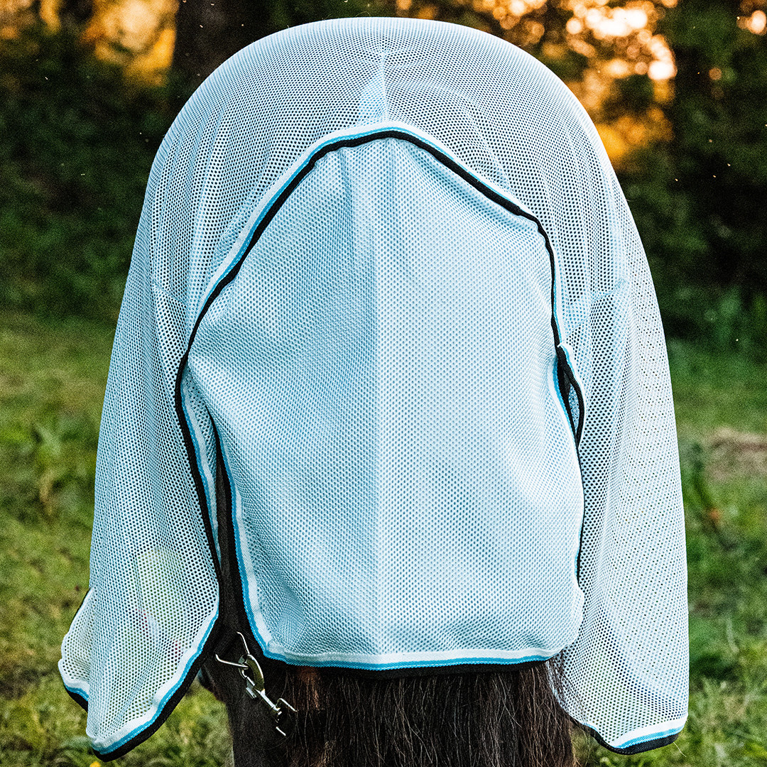 Amigo Petite Bug Rug, Azure Blue/Black/White/Blue