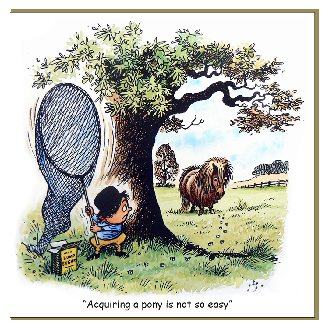 Thelwell- How to get a Pony, Single Card