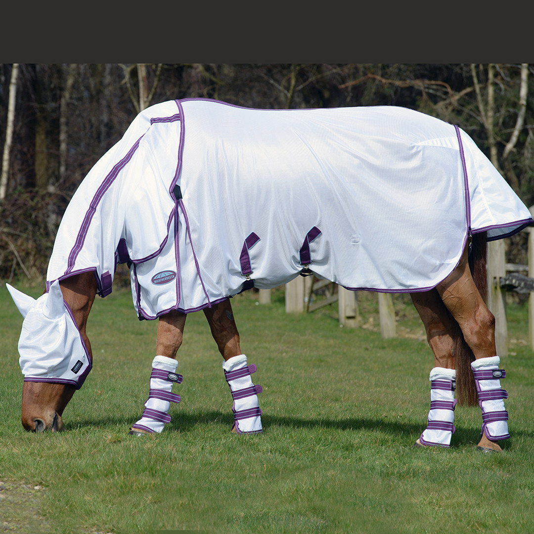 Weatherbeeta Comfitec Airflow II Detach-A-Neck Fly Sheet, White/Violet ...