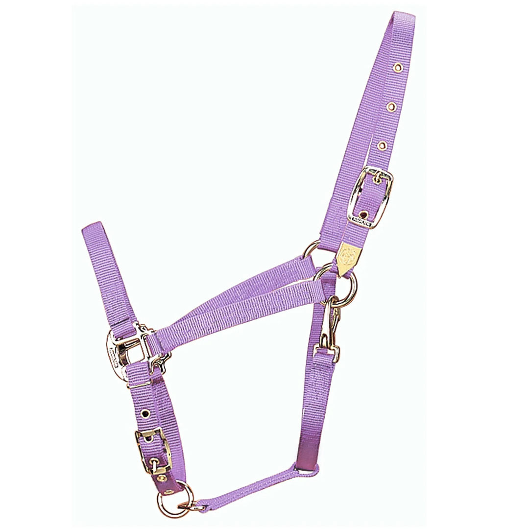 Hamilton Deluxe Nylon Halter, Large Pony/Cob Size