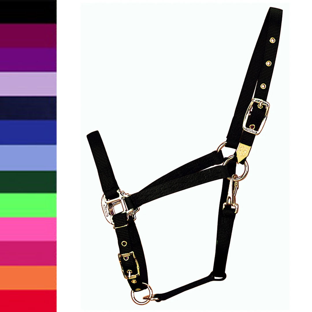 Hamilton Deluxe Nylon Halter, Large Pony/Cob Size