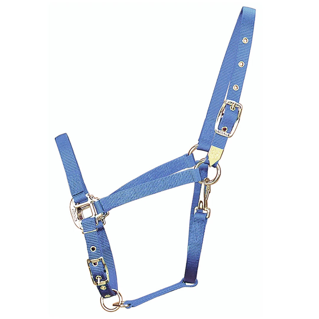 Hamilton Deluxe Nylon Halter, Large Pony/Cob Size