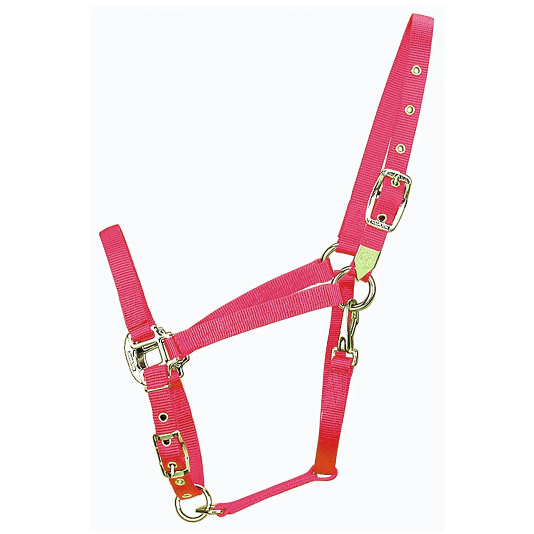 Hamilton Deluxe Nylon Halter, Large Pony/Cob Size