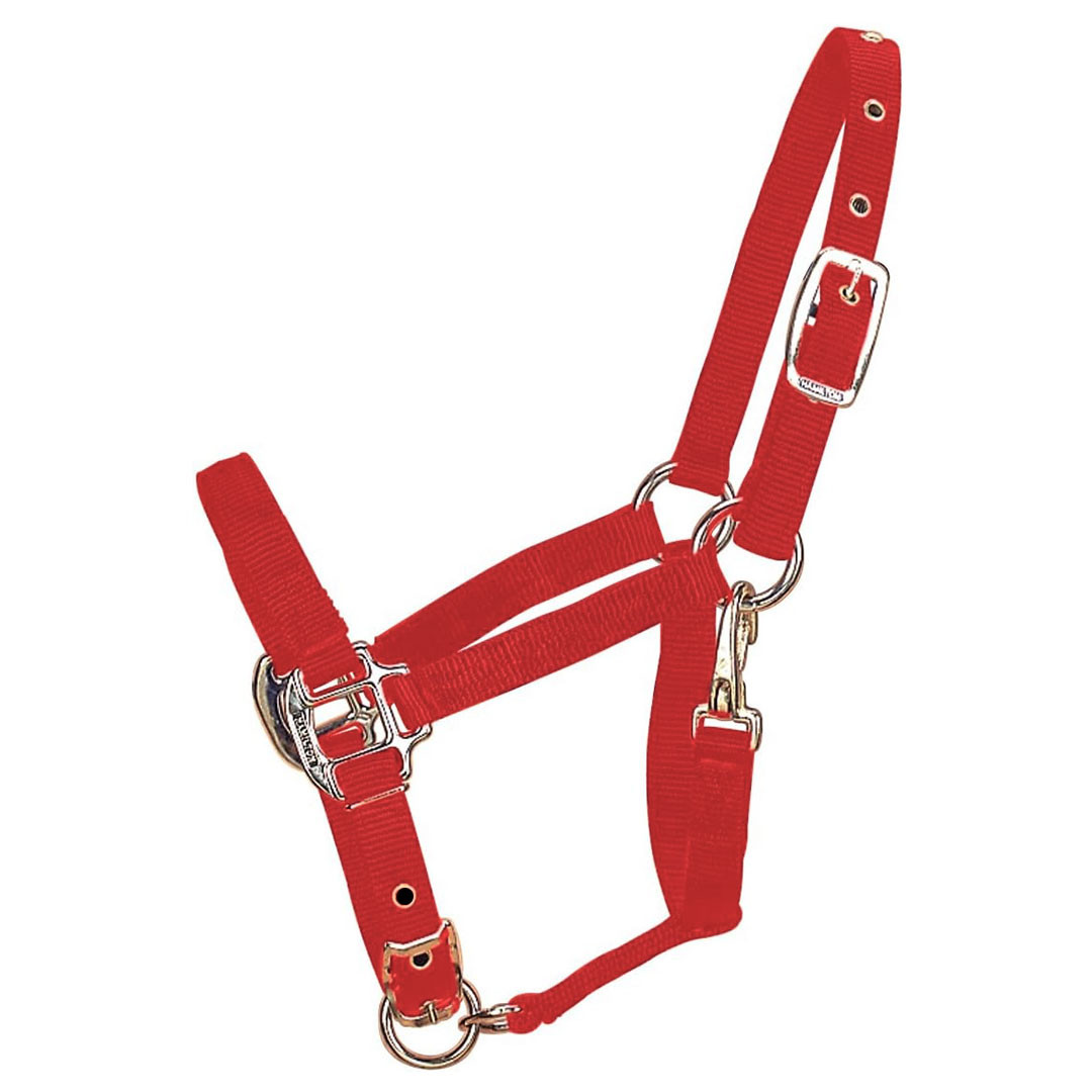 Hamilton Deluxe Nylon Halter, Small & Medium Pony Sizes