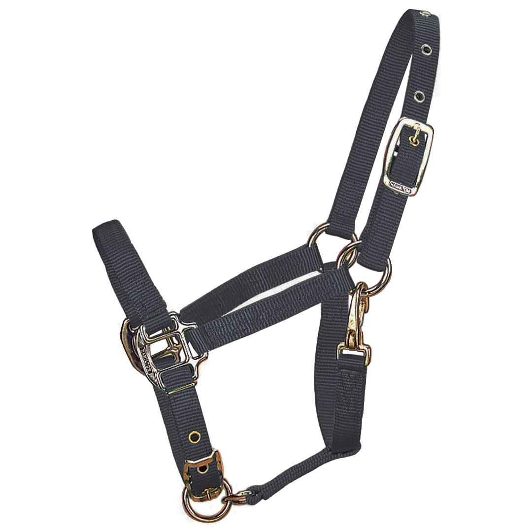 Hamilton Deluxe Nylon Halter, Small & Medium Pony Sizes