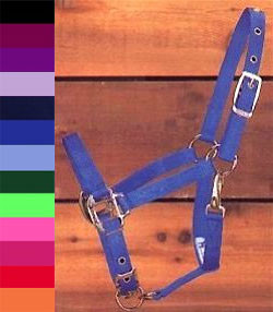 Hamilton Deluxe Nylon Halter, Small & Medium Pony Sizes