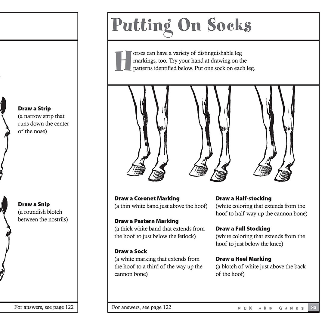 Horse Leg Markings Chart