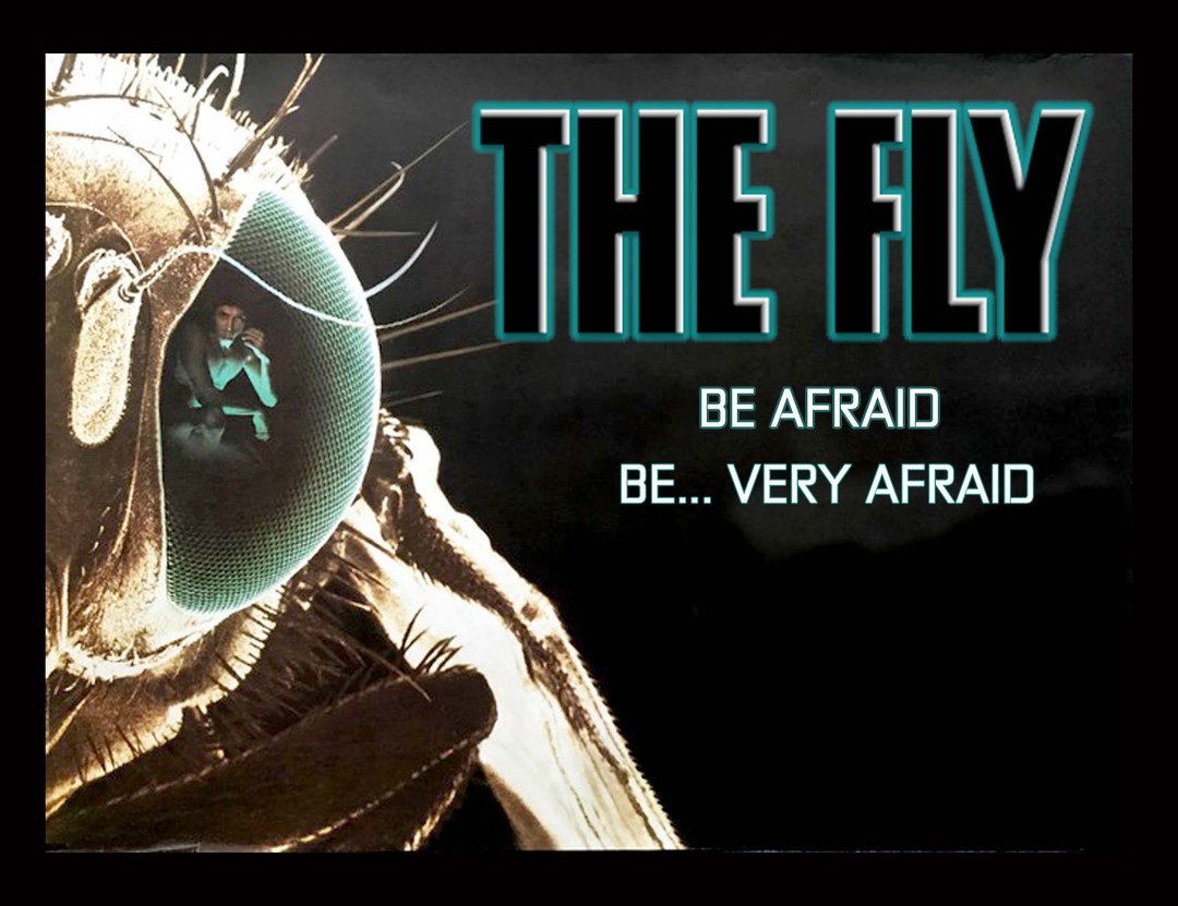 The Fly - Be Afraid 5x4" Movie Color Patch