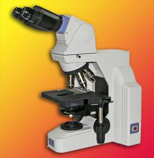 Nikon E400 Microscope