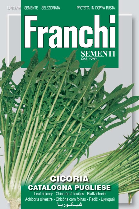 40-46 CHICORY (Cicoria) catalogna puntarelle brindisina