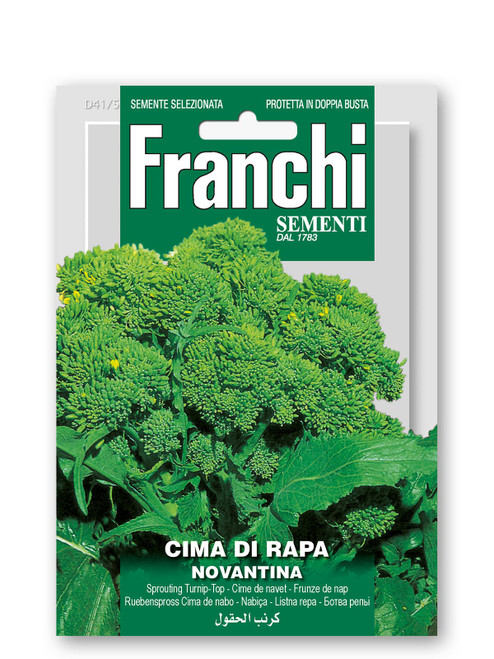 41-5 CIMA DI RAPA (Broccoli di rapa) novantina