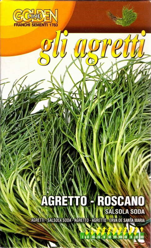 AGRETTO BOX 100 G BULK (Salsola Soda - 100g) - The Italian Gardener Pty Ltd