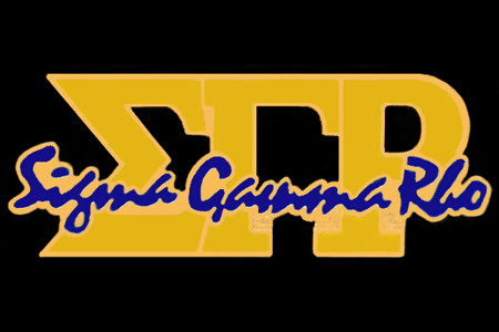 SGRho Lapel Pin